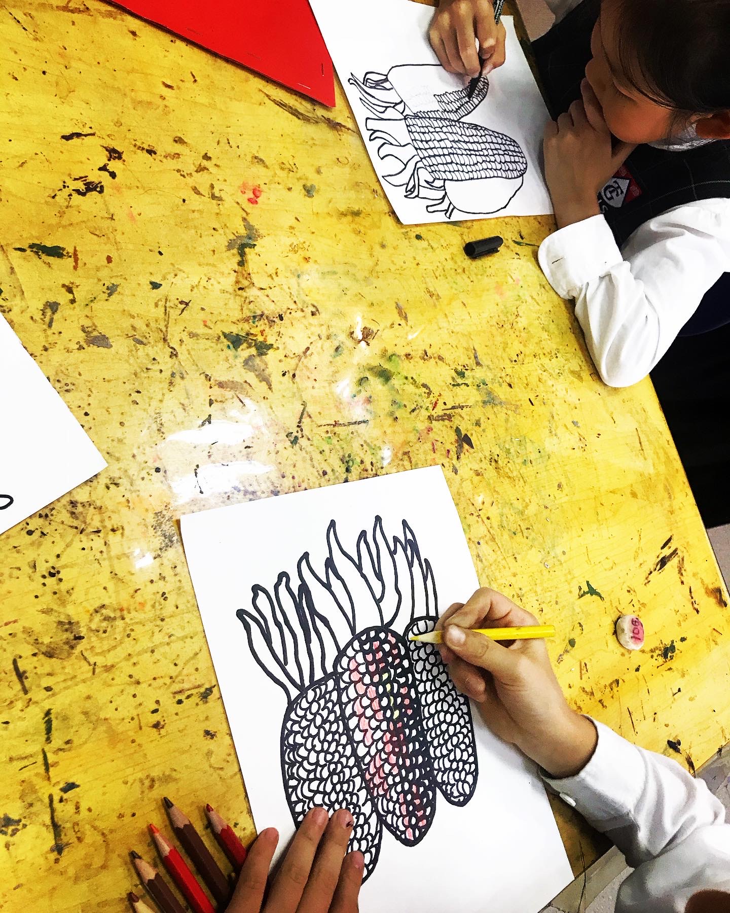 Indian Corn 🌽 Grade 4 – Amazing Art Teacher