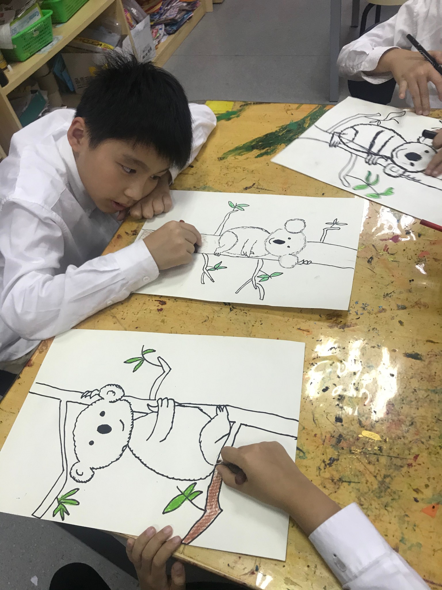 Save the Koalas 🐨 ️🙏🏽 4️⃣ 🇦🇺 | Amazing Art Teacher