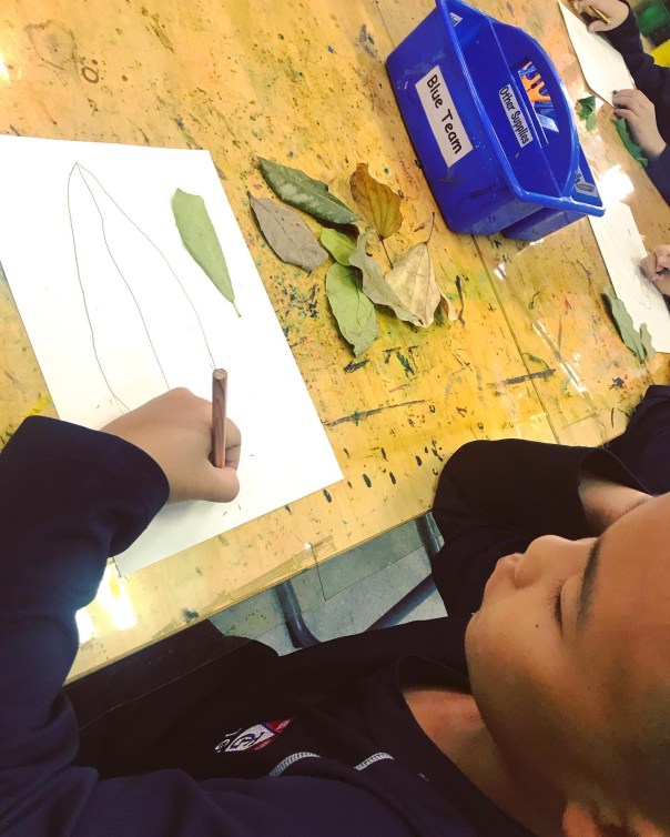 Grade 2 Observation Leaf drawing 🍃🍂🍁Part 1 – Amazing Art Teacher